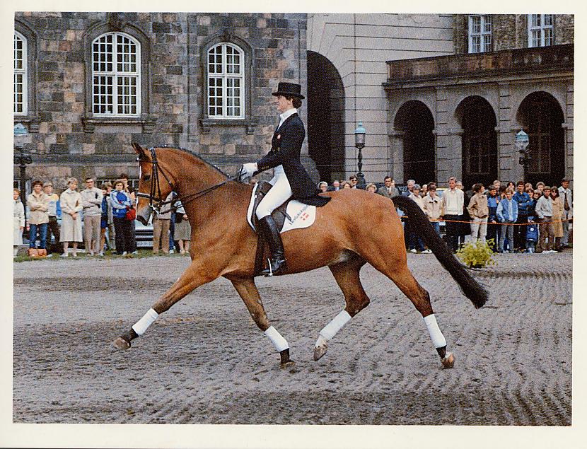 Germany's Legacy. - Spoki