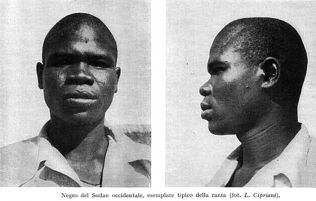 Negroīdu rase - Spoki