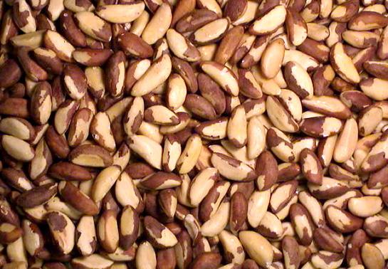 Par riekstiem.... - Spoki - bildes 2