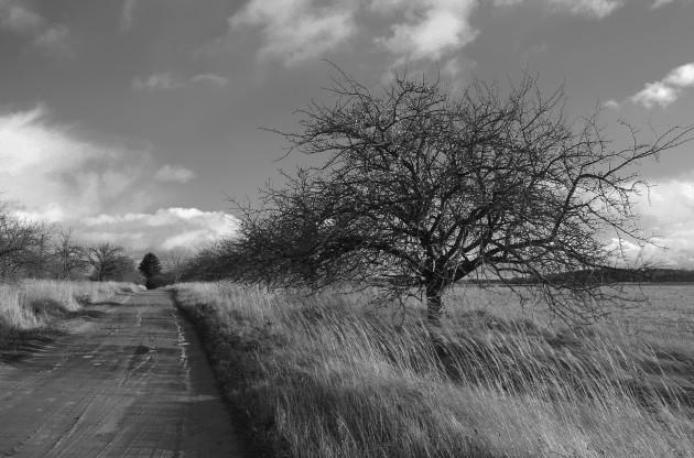 melns + balts = melnbalts - Spoki