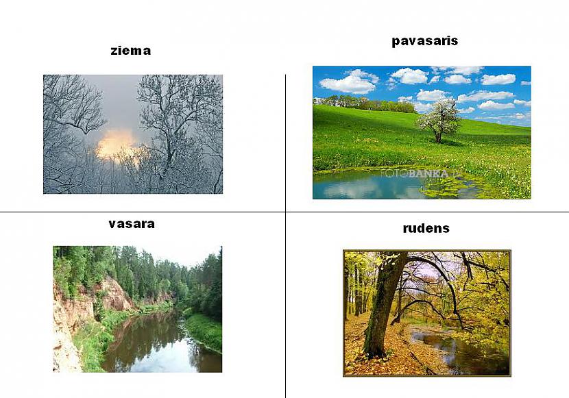 Ziema, Pavasaris, Vasara, Rudens - Spoki