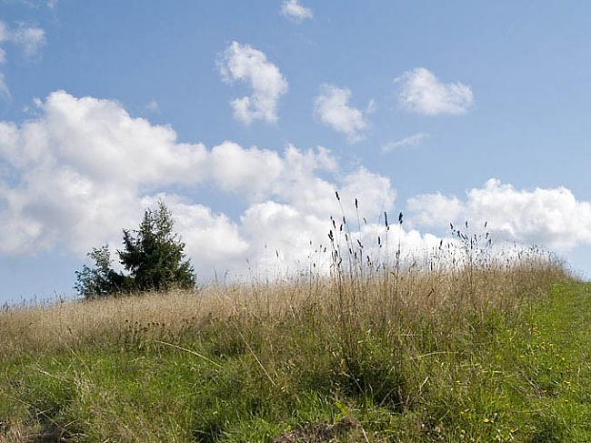 Kā viduslaiku Rīga kļuva par Eiropas lielpilsētu #2. Dzīve cietoksnī ...