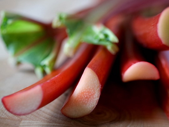 Fakti par rabarberiem - Spoki