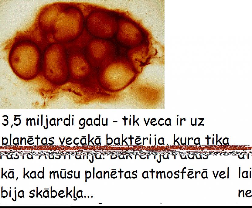 Random fakti. - Spoki