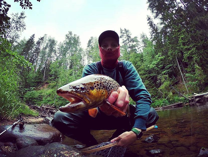 Vasaras foreles vienā piecirtienā. - Spoki