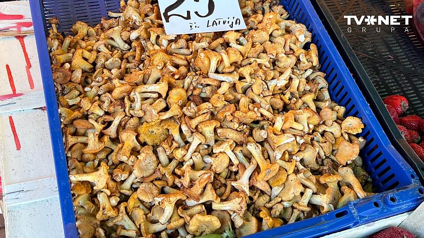 Iespaidīga cena! Centrāltirgu nopērkamas pirmās Latvijas gailenes - Spoki