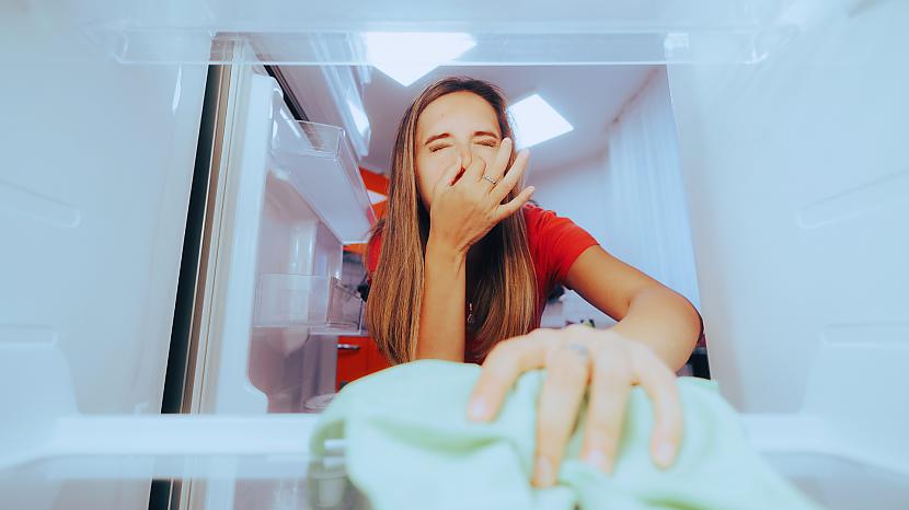 Kā atbrīvoties no smakas, ja smird ledusskapis? Vērtīgi ieteikumi! - Spoki